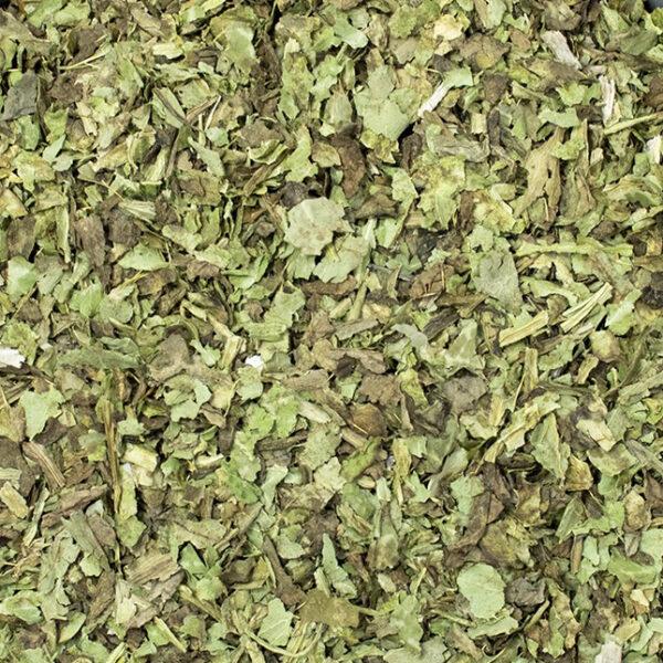 Mariadistel - Natuurproduct