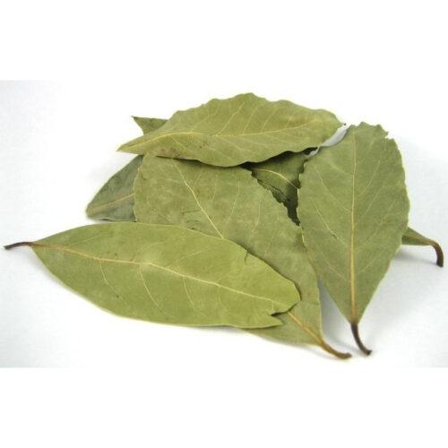 Laurierblad - Topkwaliteit Kopen - Natuurproduct.com